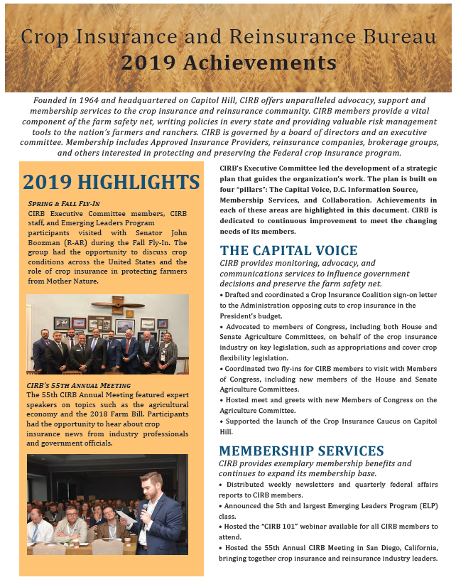 Year In Review | CIRB