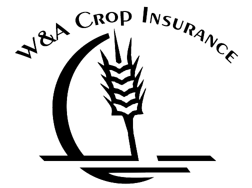 Our Members – CIRB