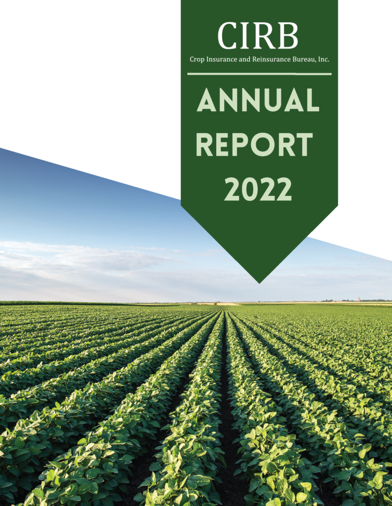 Year In Review | CIRB